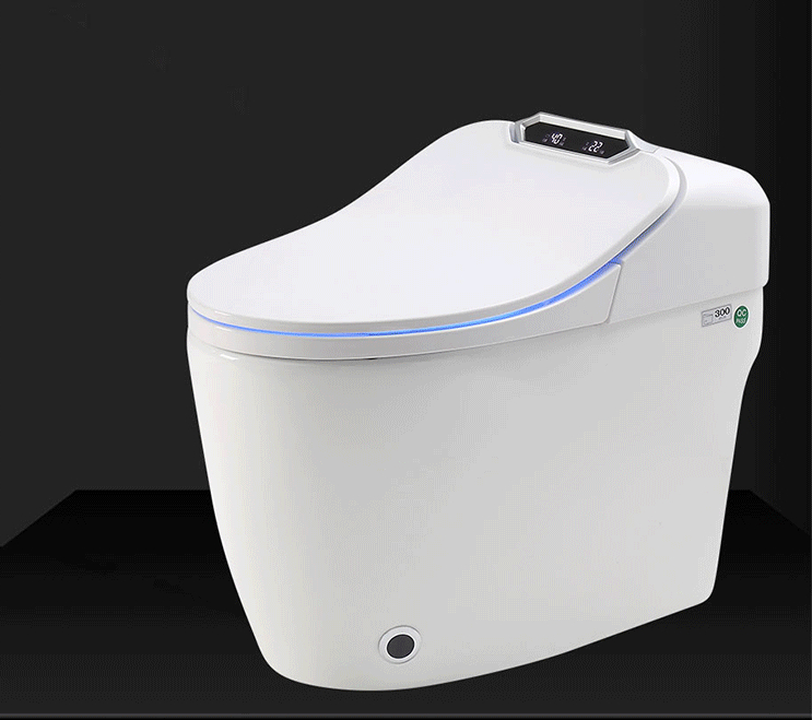 TruClean Elegance Japanese Smart Toilet – Japanese Toilets