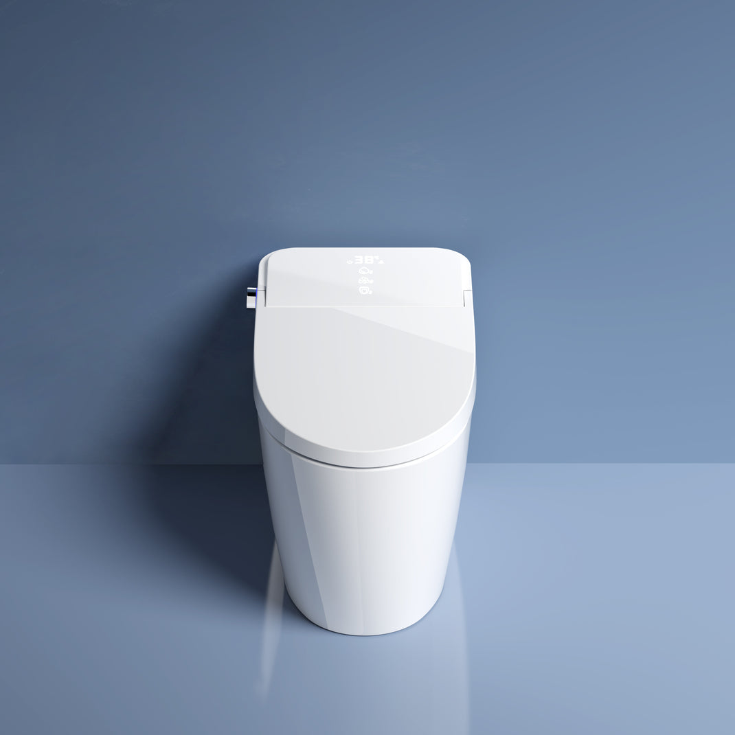 Japanese Toilets