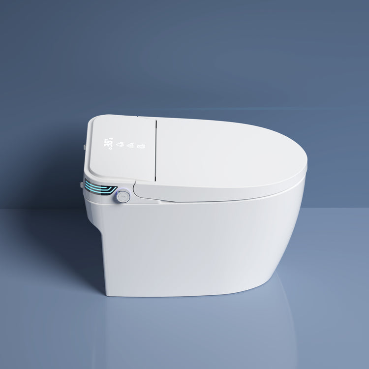 Japanese Toilets