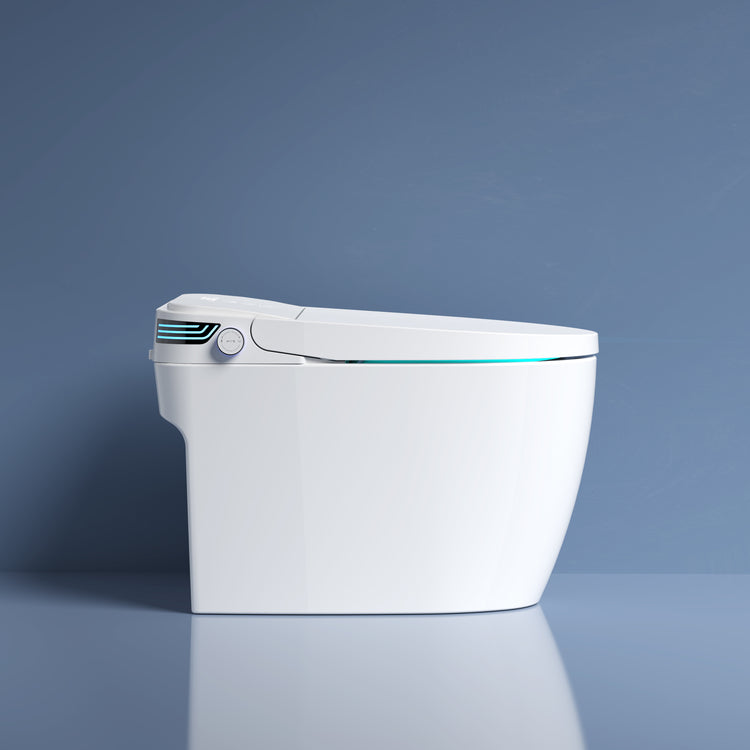 Japanese Toilets